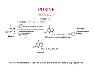 Purine | PPTX