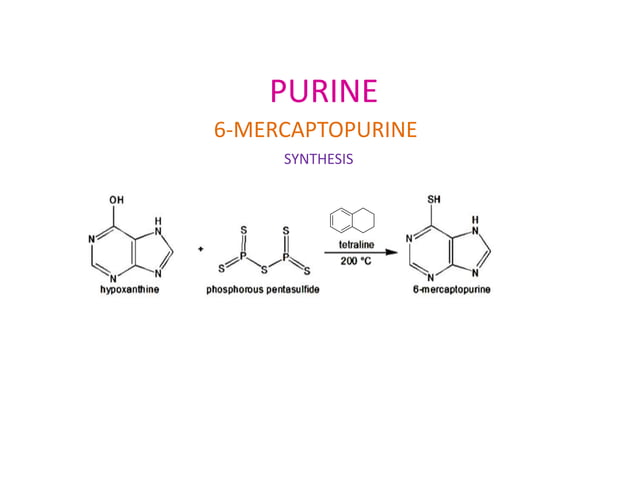 Purine | PPTX