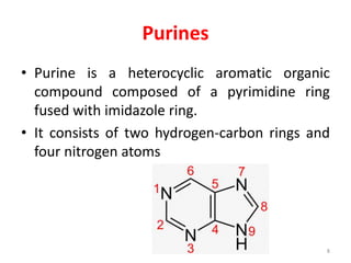 Purines | PPTX | Chemistry | Science