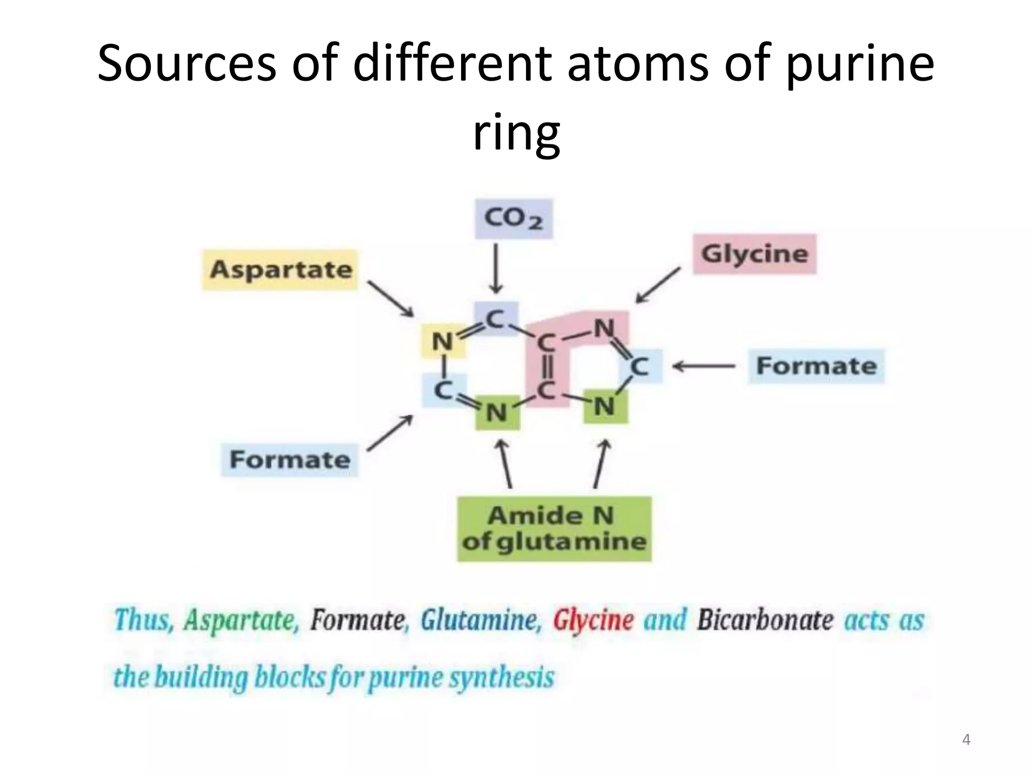 Biosynthesis of Purines | PPTX