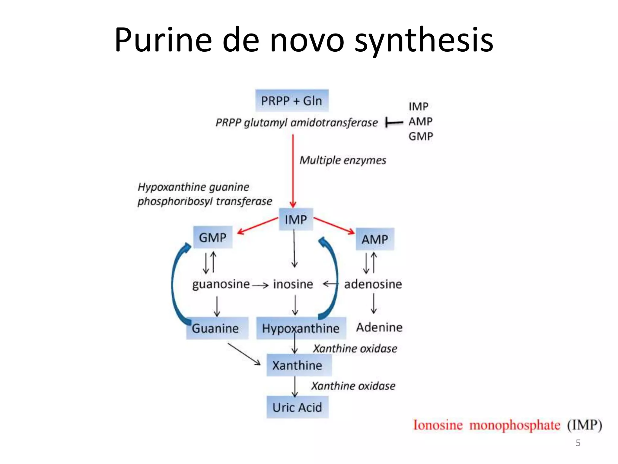 Biosynthesis of Purines | PPTX