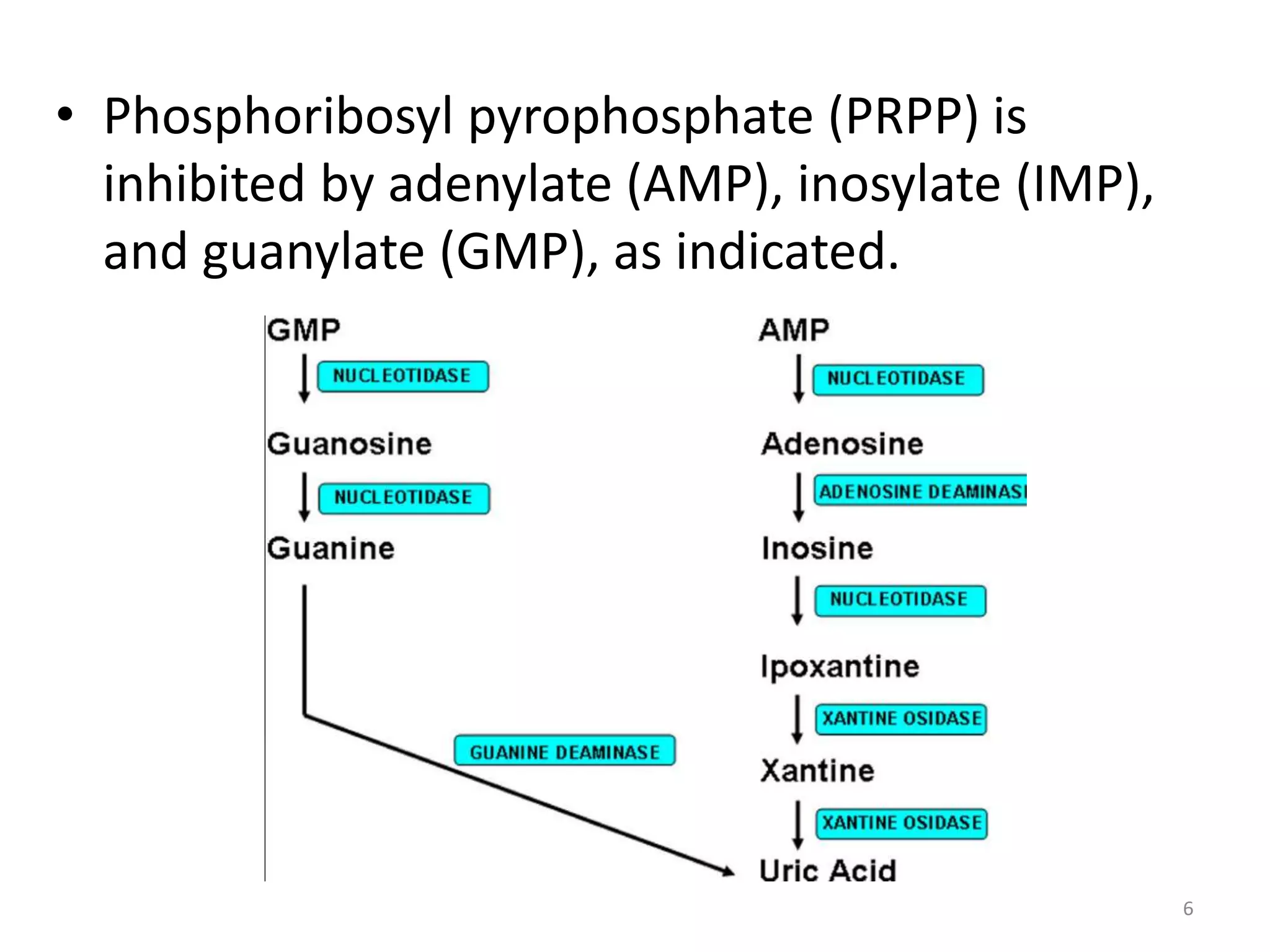 Biosynthesis of Purines | PPTX