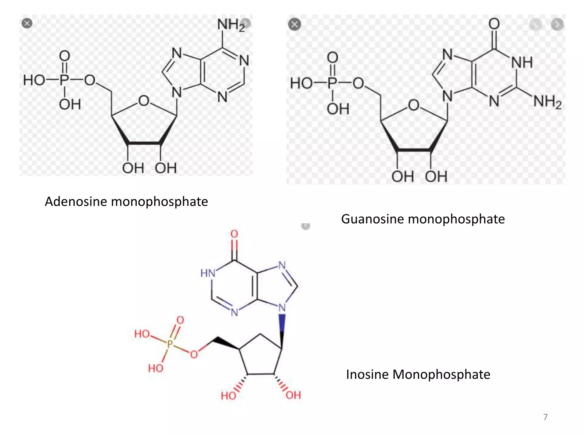 Biosynthesis of Purines | PPTX