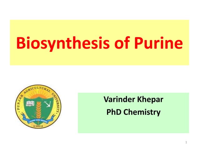 Biosynthesis of Purines | PPTX | Chemistry | Science