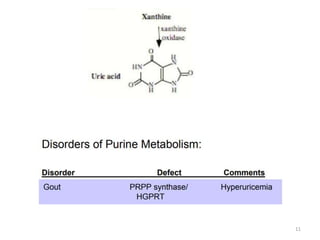 Biosynthesis of Purines | PPTX