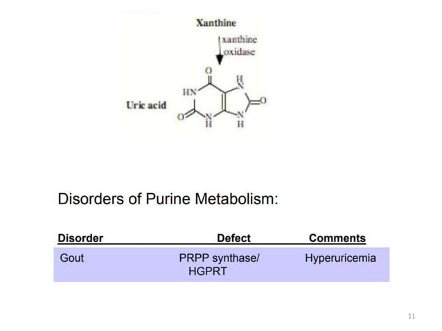Biosynthesis of Purines | PPTX | Chemistry | Science
