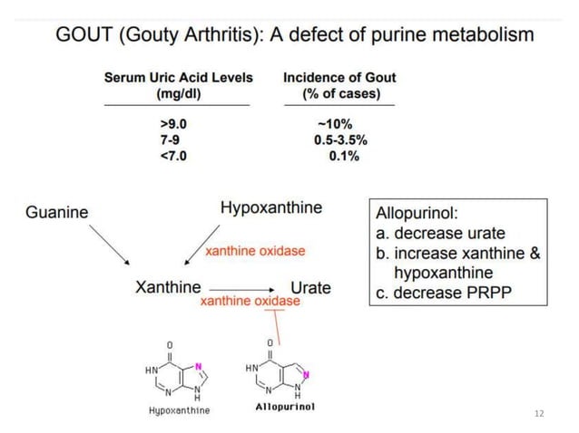 Biosynthesis of Purines | PPTX | Chemistry | Science