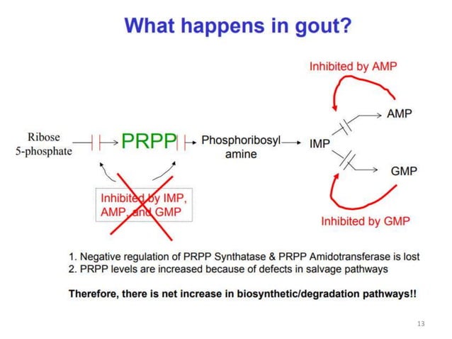 Biosynthesis of Purines | PPTX | Chemistry | Science