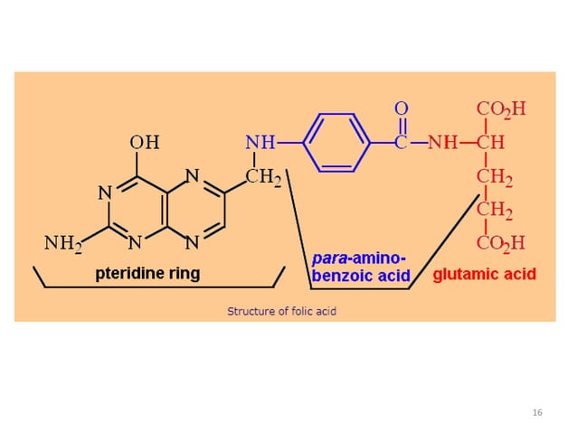 Biosynthesis of Purines | PPTX | Chemistry | Science