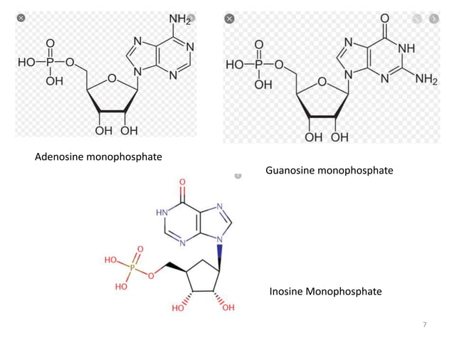 Biosynthesis of Purines | PPTX | Chemistry | Science