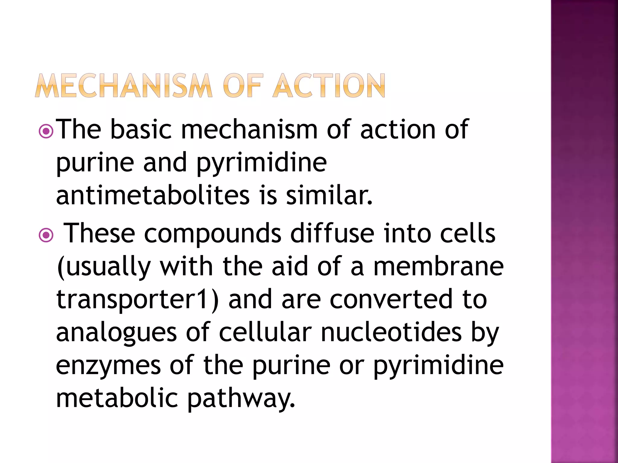 Purine and pyrimidine final | PPTX