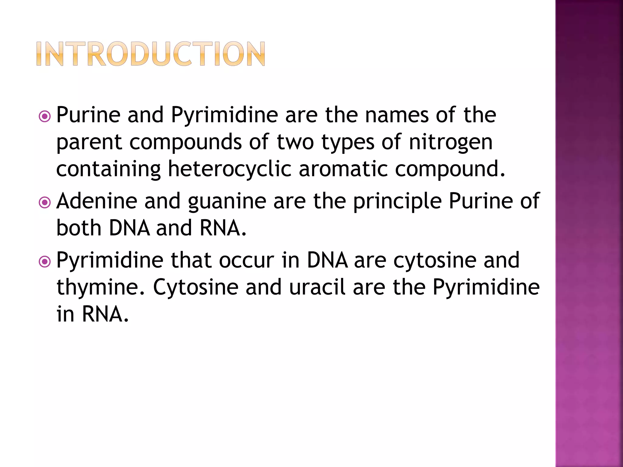 Purine and pyrimidine final | PPTX