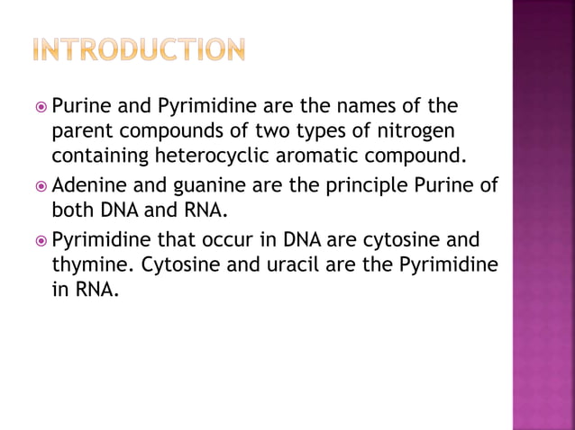 Purine and pyrimidine final | PPTX
