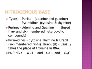 Purine and pyrimidine final | PPTX