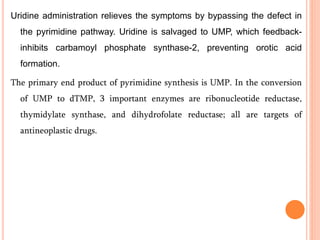 Purine and Pyrimidine Metabolism.pptx