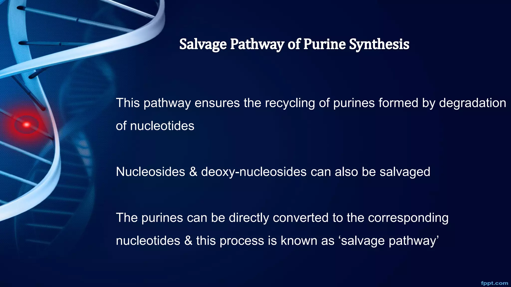 Purine and pyrimidine synthesis | PDF