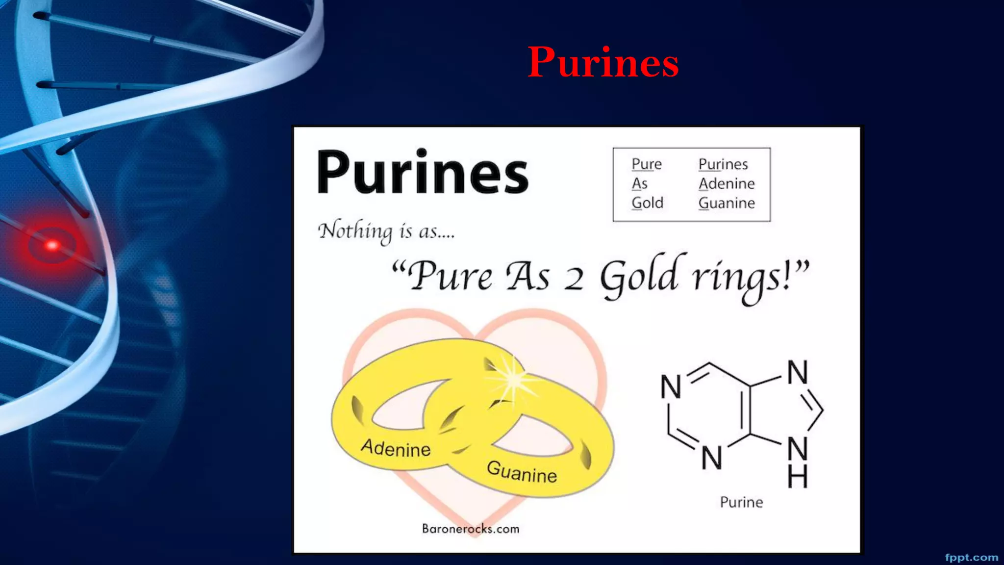 Purine and pyrimidine synthesis | PDF