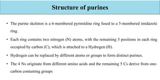 Purine biosynthesis | PPT
