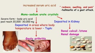 Purinecatabolism slideshare | PDF