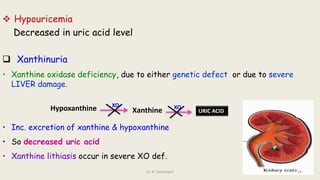 Purine catabolism | PPSX