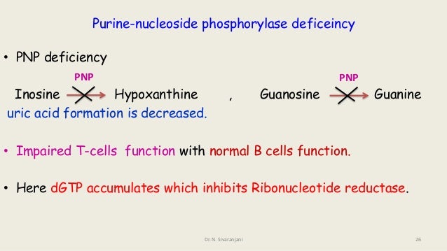Purine catabolism