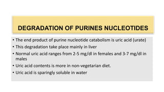 PURINE DEGARADTION.pptx