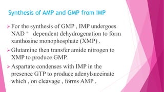 Purine degradation | PPTX