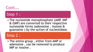 Purine degradation | PPTX