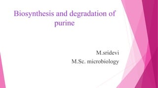 Purine degradation | PPTX