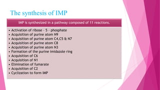 Purine degradation | PPTX