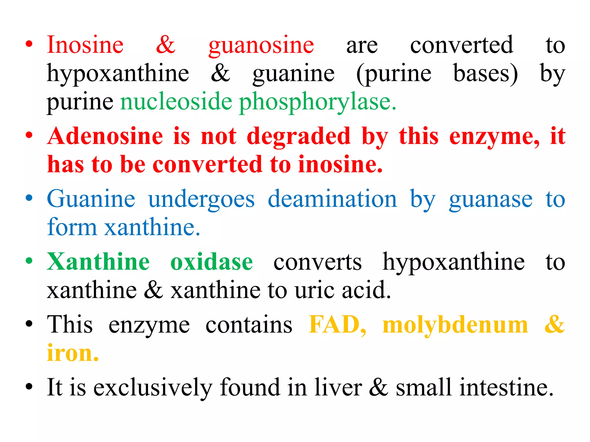 Purine degradation | PPTX