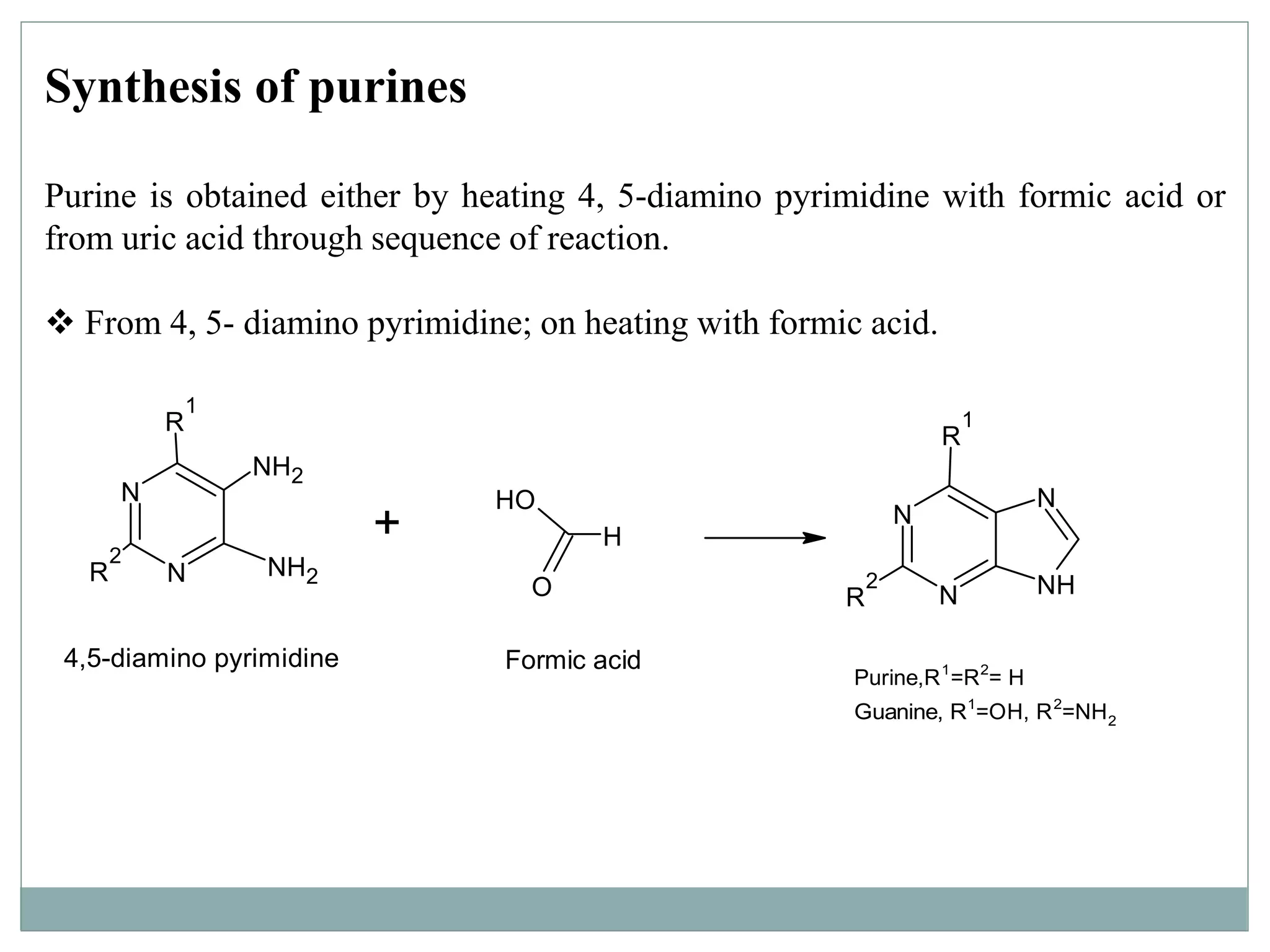 Purine derivatives- Xanthine (Caffeine) | PPTX