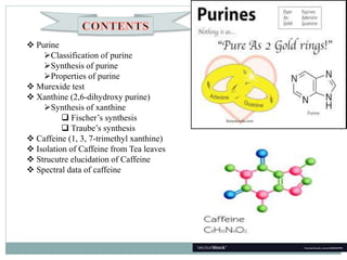 Purine derivatives- Xanthine (Caffeine) | PPTX