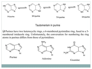 Purine derivatives- Xanthine (Caffeine) | PPTX