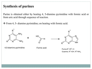 Purine derivatives- Xanthine (Caffeine) | PPTX