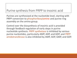 purine metabolism.ppt