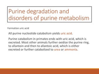 purine metabolism.ppt