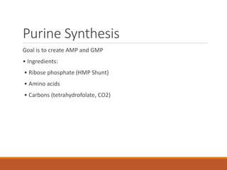 purine metabolism.ppt