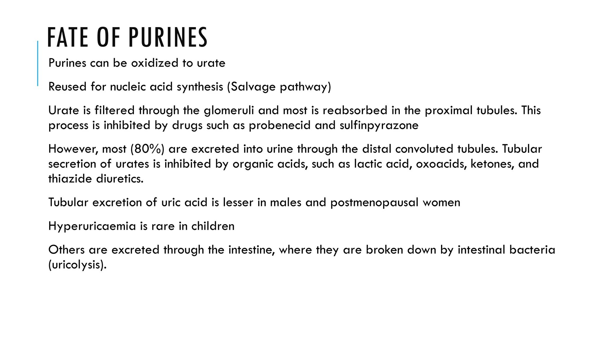The. purine metabolism and gout.pptx