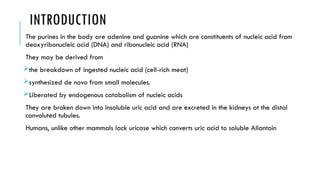 The. purine metabolism and gout.pptx
