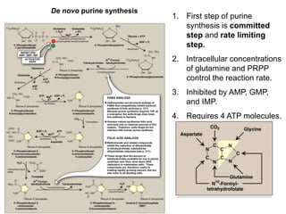 PURINE METABOLISM LECTURE.ppt