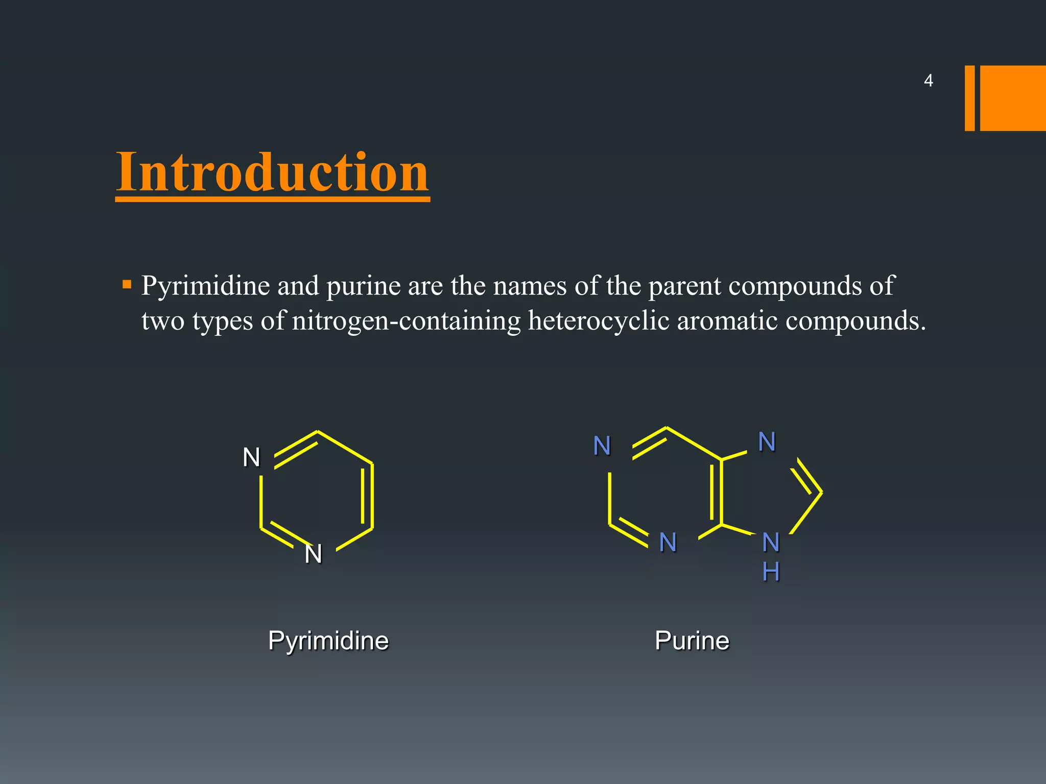 Purine and Pyrimidine biosynthesis | PPTX