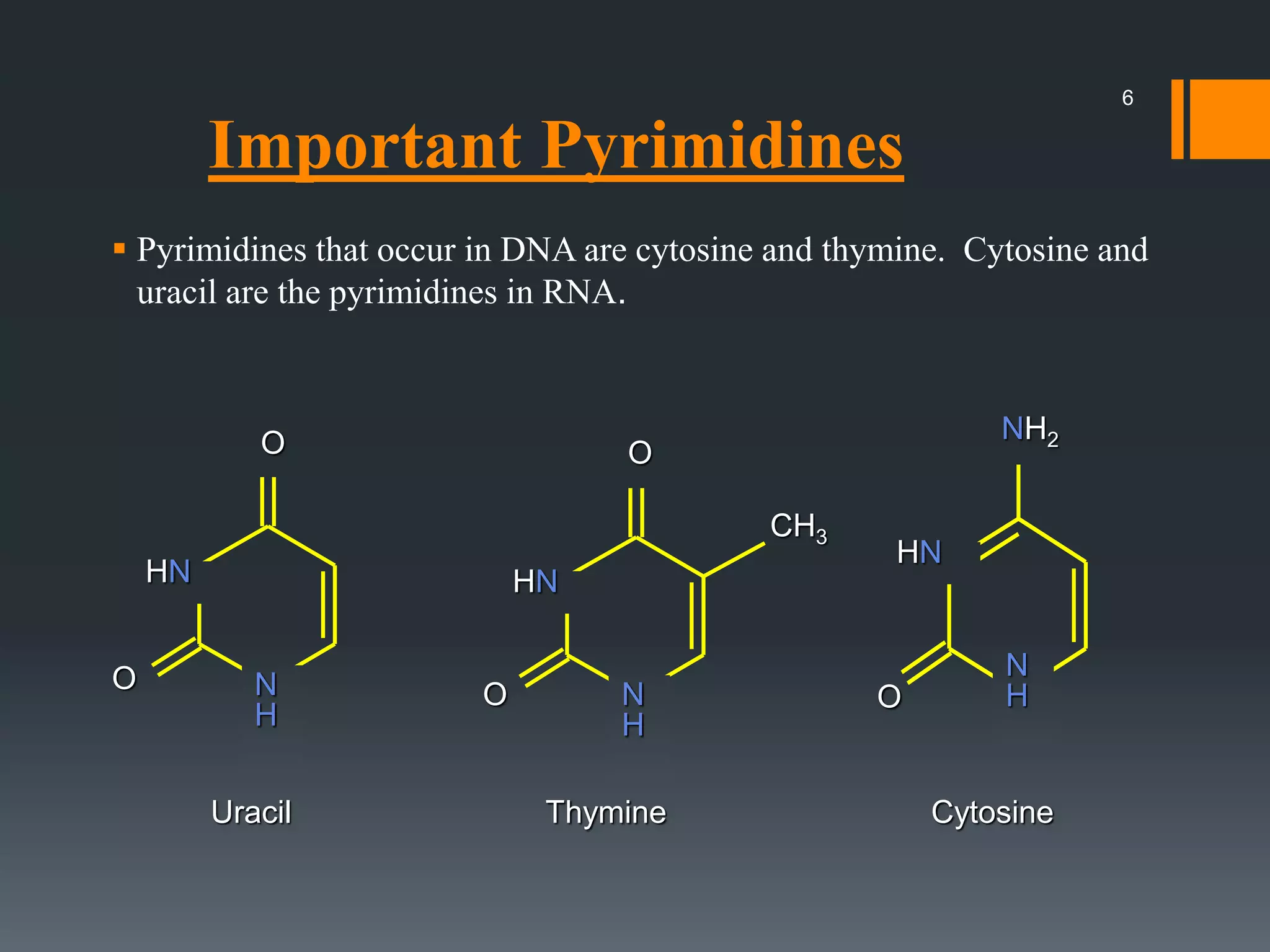 Purine and Pyrimidine biosynthesis | PPTX