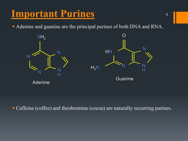Purine and Pyrimidine biosynthesis | PPTX