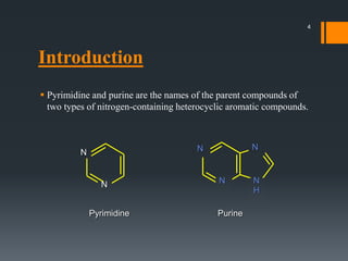 Purine And Pyrimidine