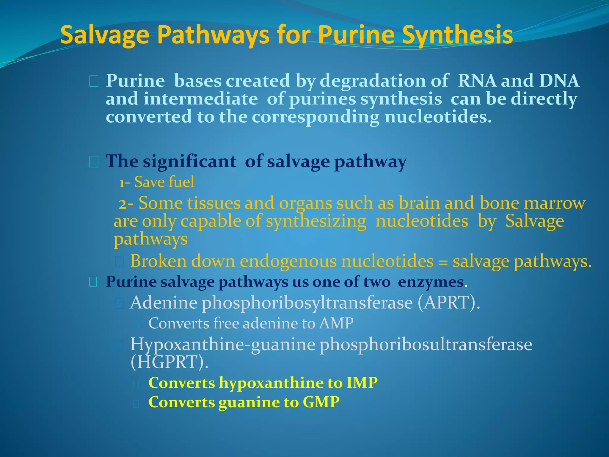 Purine & pyrimidine metabolism and disorders | PPTX