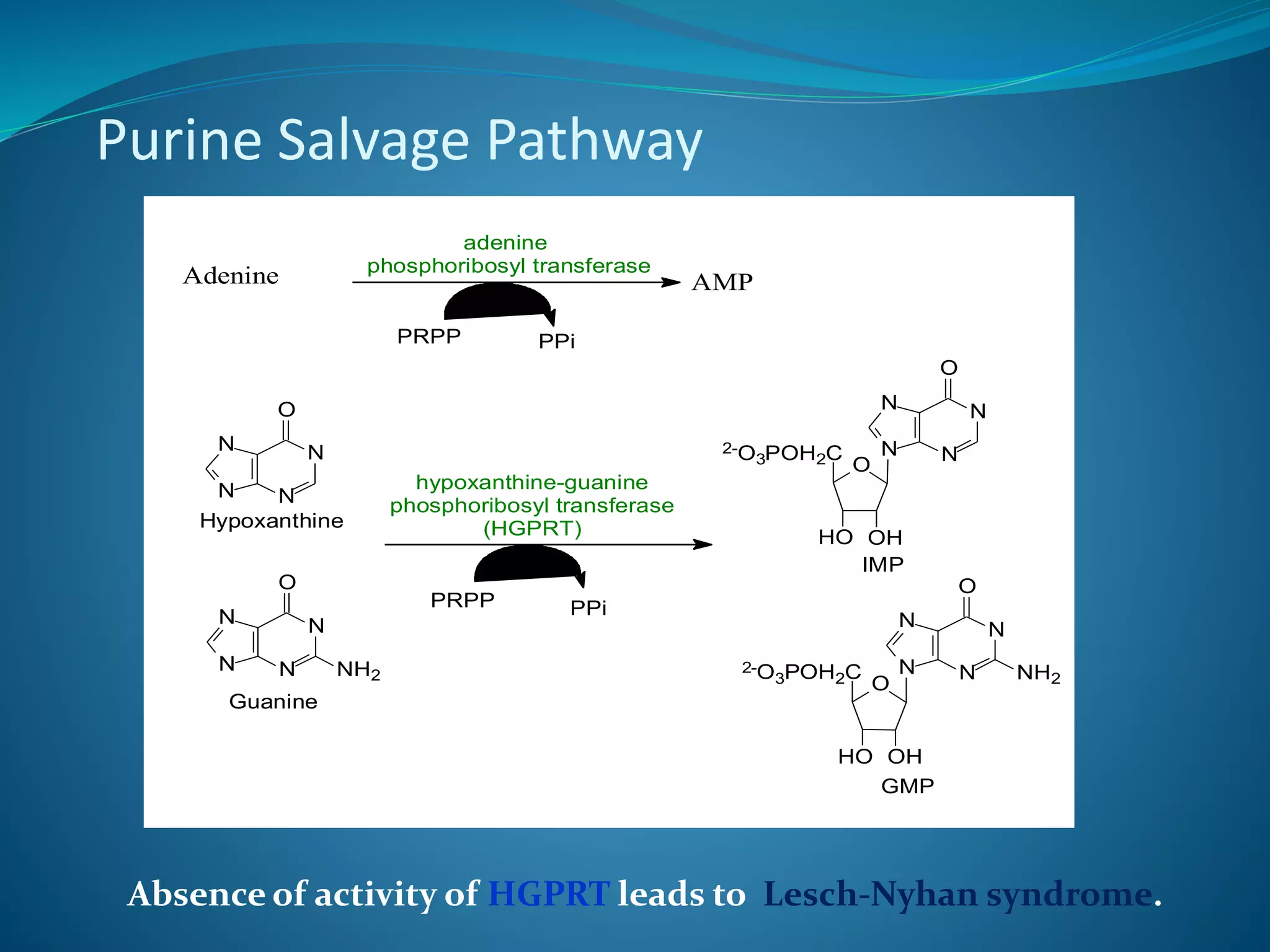 Purine & pyrimidine metabolism and disorders | PPTX