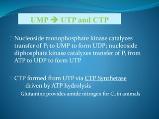Purine & pyrimidine metabolism and disorders | PPTX