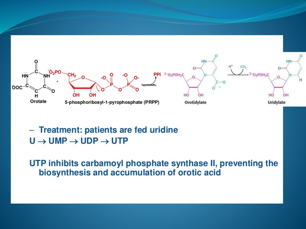 Purine & pyrimidine metabolism and disorders