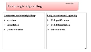 Purinergic receptor 1 | PPTX